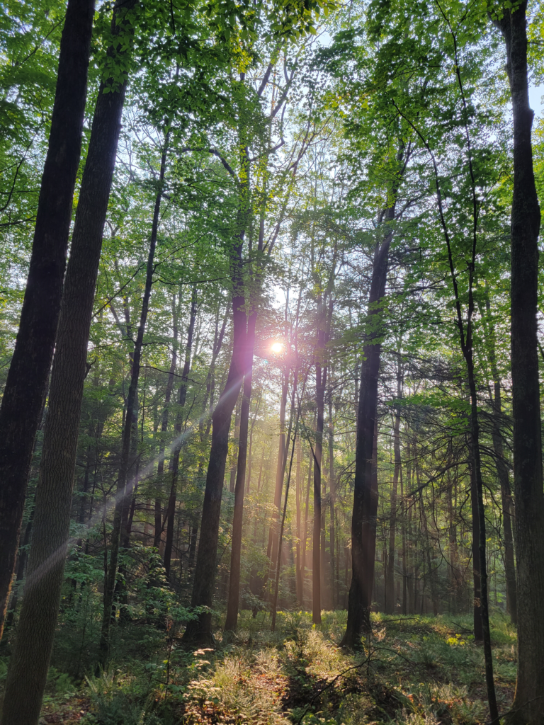 Hiking the Green Monster - Brad Snider's Mountain Blog